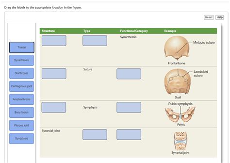 Solved Drag The Labels To The Appropriate Location In The Chegg