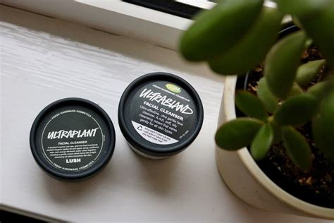 The Lush Cleansers My Sensitive Skin Loves Gentle Face Cleanser