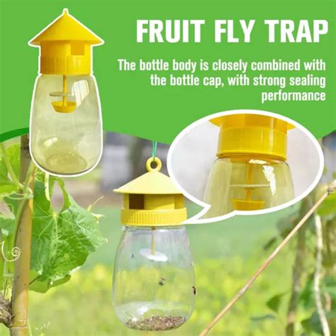 Reusable Fruit Fly Trap Killer Yellow Cage Drosophila Patio Trap Catcher N O1s3 Eur 3 56