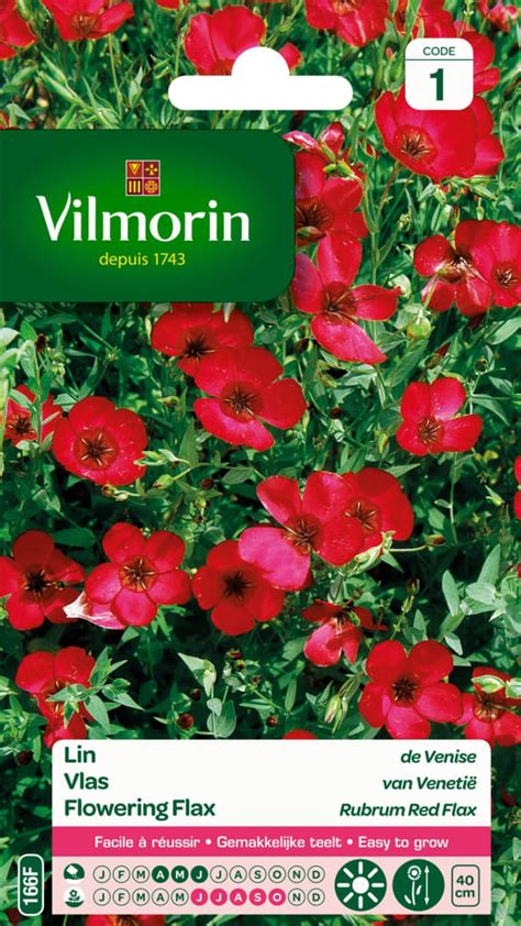 Lin De Venise Graines Rouge VILMORIN Jardiland
