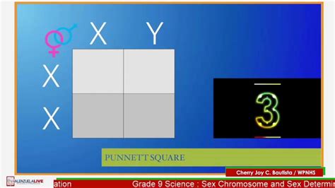 Grade 9 Science Q1 W5 Sex Chromosome And Sex Determination Youtube