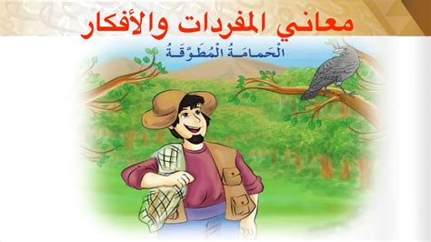 Mrandmrs Babayoyo معاني المفردات والأفكار درس الحمامة المطوقة لغة
