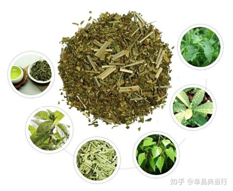 今天不喝咖啡 来点梅西爱的马黛茶吧！ 知乎