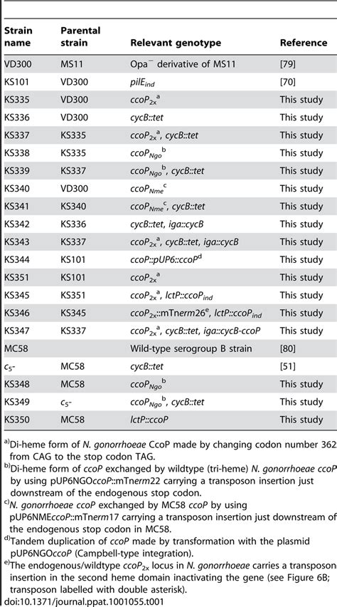 Neisseria Strains Used In This Work Download Table