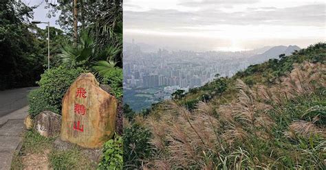飛鵝山行山路線丨5大景點推介自殺崖180度觀景台！附交通