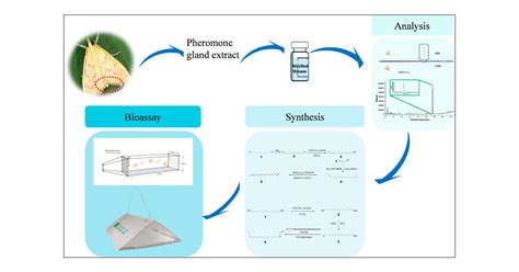 Structure Synthesis And Bioassays Of Sex Pheromone For Pyrausta