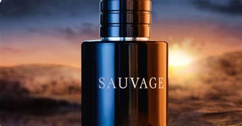 Best 10 Perfumes For Men To Invest With Elegant Fragrance