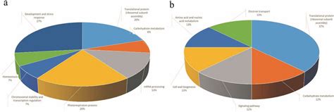 A Metabolic Functions Of Differential Expressed Proteins Identified In