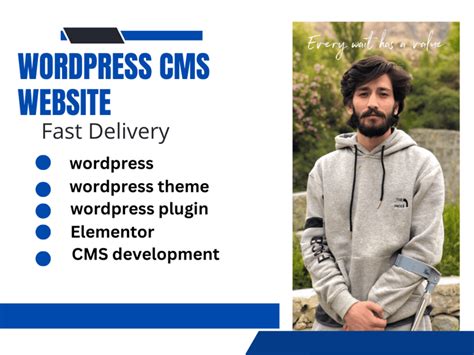 A Fully Responsive Wordpress Website And Cms Bugs Upwork