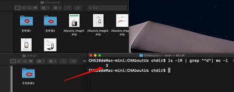 Linux 统计文件夹下文件个数以及目录个数 Ch520 博客园