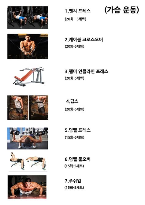 가슴 운동 종류 덤벨풀오버 덤벨프레스 딥스 벤치프레스 케이블크로스오버 푸쉬업 햄머인클라인 벤치프레스