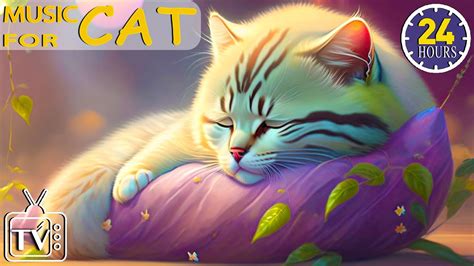 Relaxing Cat Music And Kittens 24 Hours Of Sleep Music For Cats
