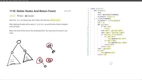 July 17 2024 Leetcode Daily 1110 Delete Nodes And Return Forest Python Solution