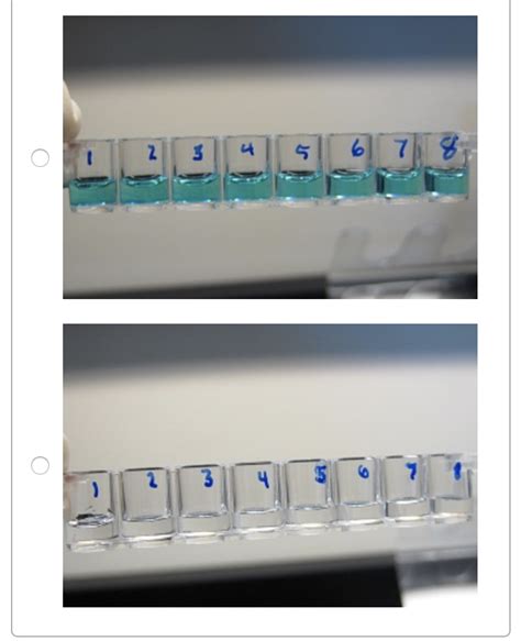 Solved A Fellow Student Incorrectly Performs An Elisa Chegg