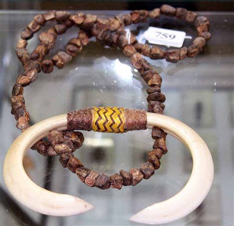 Papua New Guinea Boar Tusk Necklace Necklacechain Jewellery