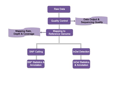 Bioinformatics Analysis Pipeline 23 Annotation Of Variants Download
