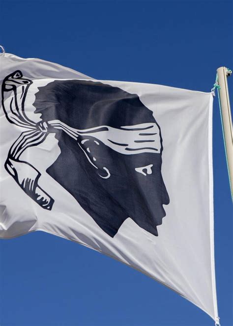 Quelle Est La Différence Entre Un Rat Et Une Souris Geo Fr