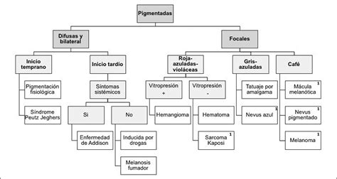 Enfrentamiento de lesiones de cavidad oral clasificación y diagnóstico