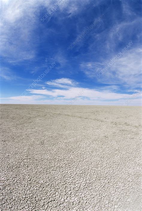 Etosha Pan Stock Image E610 0120 Science Photo Library