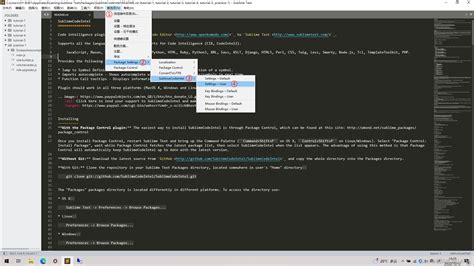 用sublime玩screeps添加代码提示screepsautocomplete screeps编辑器 csdn博客