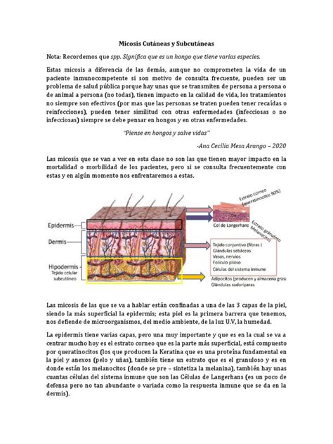 Micosis Cutáneas Y Subcutáneas Pdf Medicina Clinica