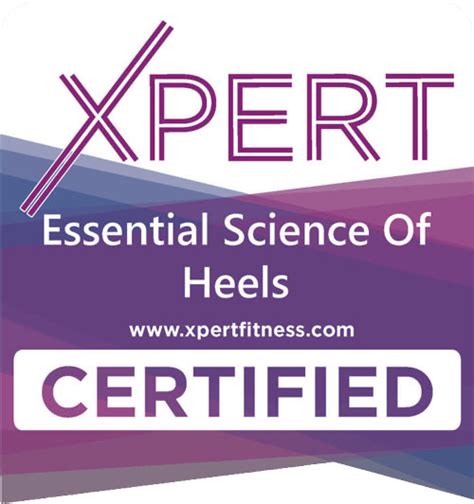 Chair Spin Pole Dancing Firefly Poles