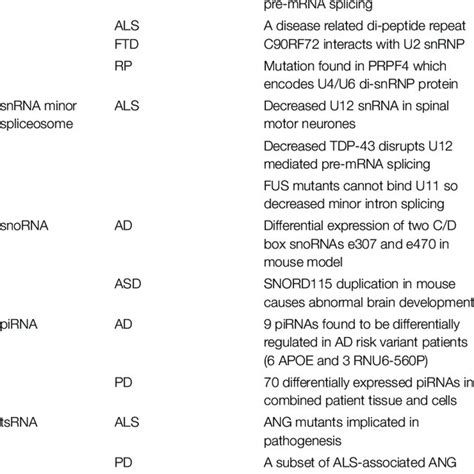 Interactions Of Small Non Coding Rnas With Neurodegenerative Diseases