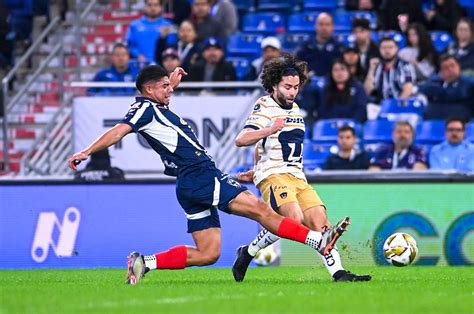 Raydos Pumas Compressed