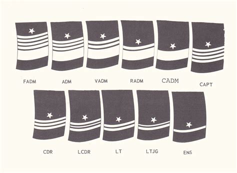 Navy Commander Rank Insignia