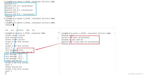 Linux— 网络编程套接字linux系统套接字 Csdn博客