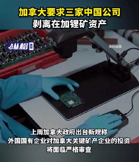 「加拿大要求三家中国公司剥离在加锂矿资产」当地时间11月2日，加拿大工业部以所谓国家安全为由，要求三家中国公司剥离其在加拿大关键矿产公司的投资
