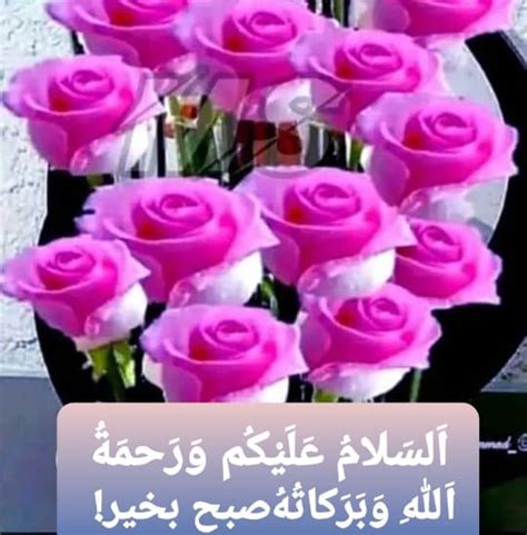 Anum Fatima