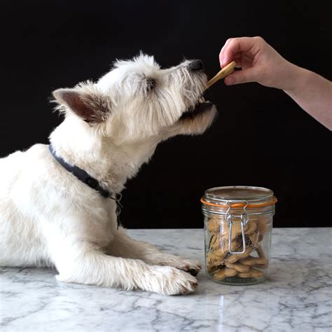 Is It Safe To Eat Dog Biscuits