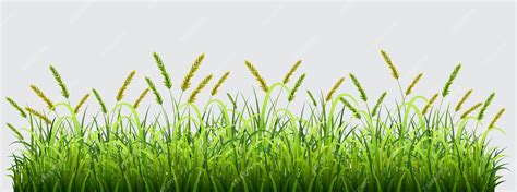 Premium Vector Green Grass Template Set