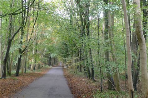 Savernake Forest Marlborough Wiltshire See Around Britain