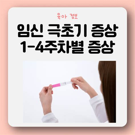 임신 극초기증상 1주차 2주차 3주차 4주차 증상 W착상혈 생리 몸살 미열 네이버 블로그