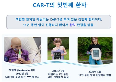 Car T세포치료 카티 Car T 항암 치료