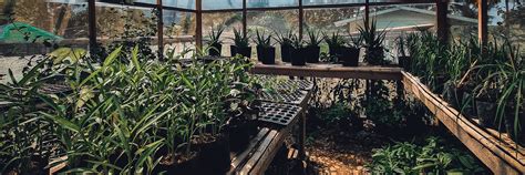 How To Design Your Shade House With Greenhouse Shade Nets