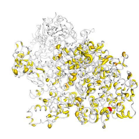 Polg Gene Somatic Mutations In Cancer