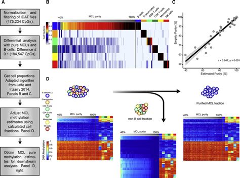 Deconvolution Of Dna Methylation Data And In Silico Purification Of Mcl Download Scientific