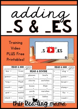 Rules For Adding Suffixes To Words This Reading Mama