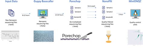 Figure 1 From Nanopore Sequencing Data Analysis Using Microsoft Azure
