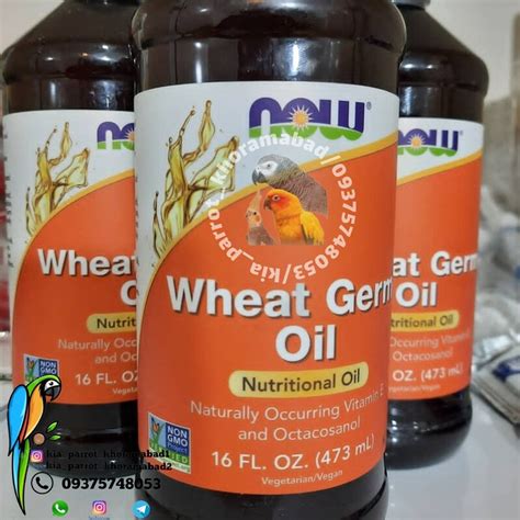 خرید و قیمت روغن جوانه گندم پرندگان ویجرمwheat Germ 20 سی سی از غرفه
