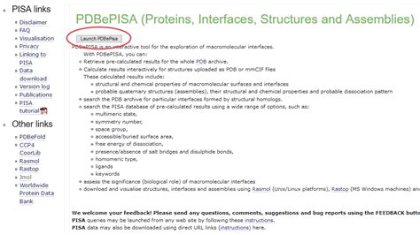 Launch Pdbepisa Pdbepisa