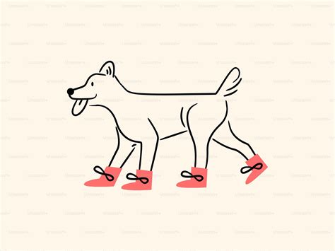 빨간 신발을 신은 개 그림 벡터 Unsplash의 개 이미지