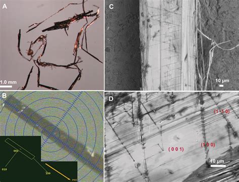 Preparation Of Polydiiododiacetylene An Ordered Conjugated Polymer Of Carbon And Iodine Science