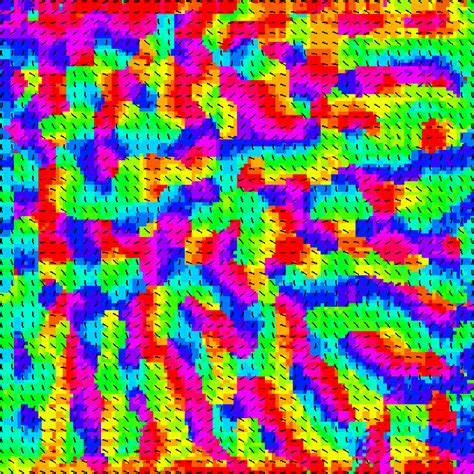 The Self Organized Orientation Map And Patchy Lateral Excitatory Download Scientific Diagram