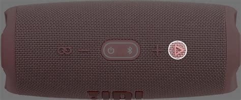 JBL Charge 5 Buttons Explained Plus Special Button Combos