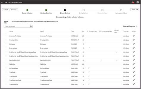 Setting Up Data Security In Oracle Fusion Hcm Analytics With