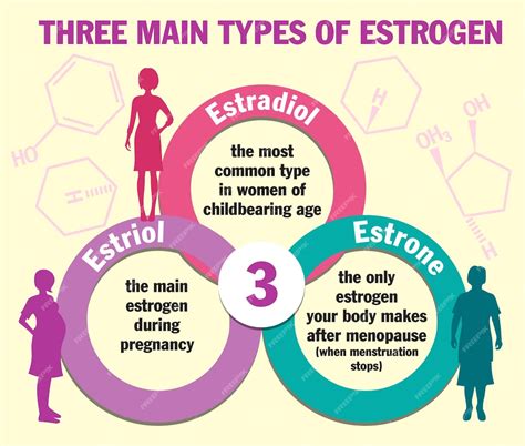 세 가지 주요 유형의 에스트로겐 Infographics Estradiol Estrone 및 Estriol 에스트로겐 호르몬 수치 프리미엄 벡터